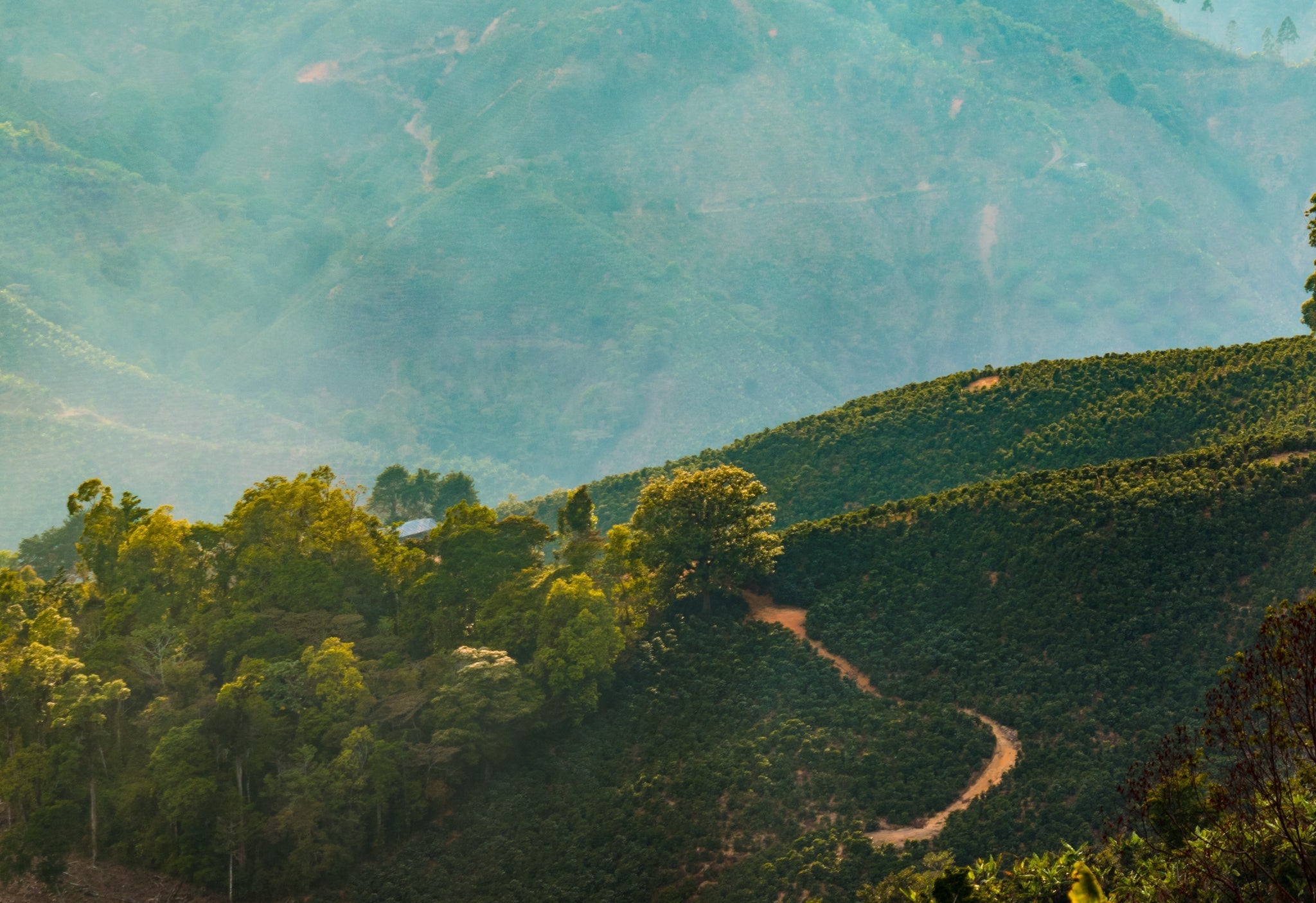 Why Costa Rica Grows one of the Best Coffee Beans in the World – Manural
